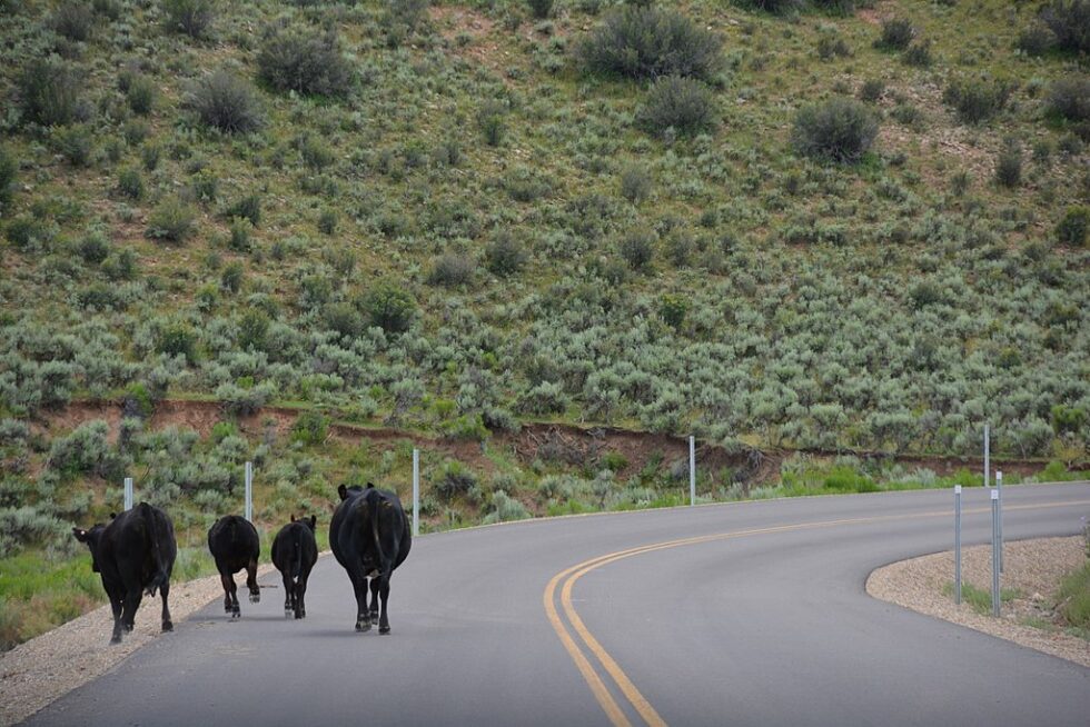 UDOT maps plan for $760M Heber Valley bypass | Strategic Partnerships ...